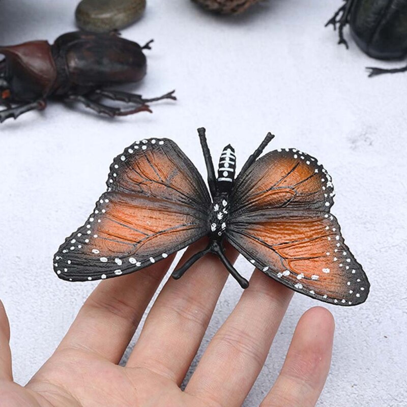 8pcs/12pcs Simulation Static Insect Model Ornament... – Grandado