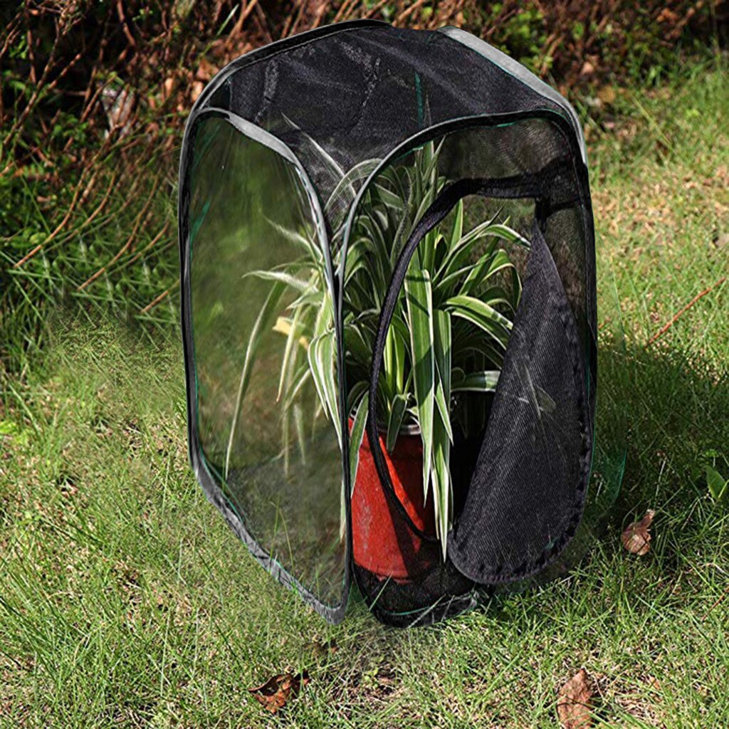 Portable Collapsible Insect and Butterfly Habitat ... – Grandado