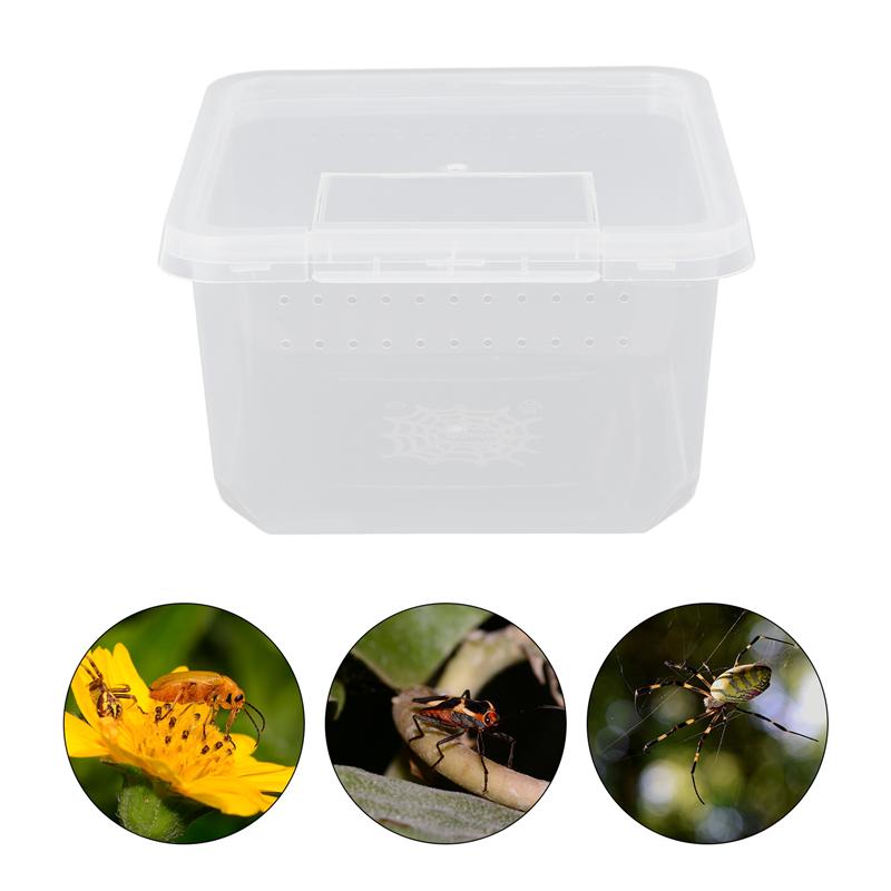 Transparante Insect Carrier Reptiel Feeder Doos Vo... – Grandado