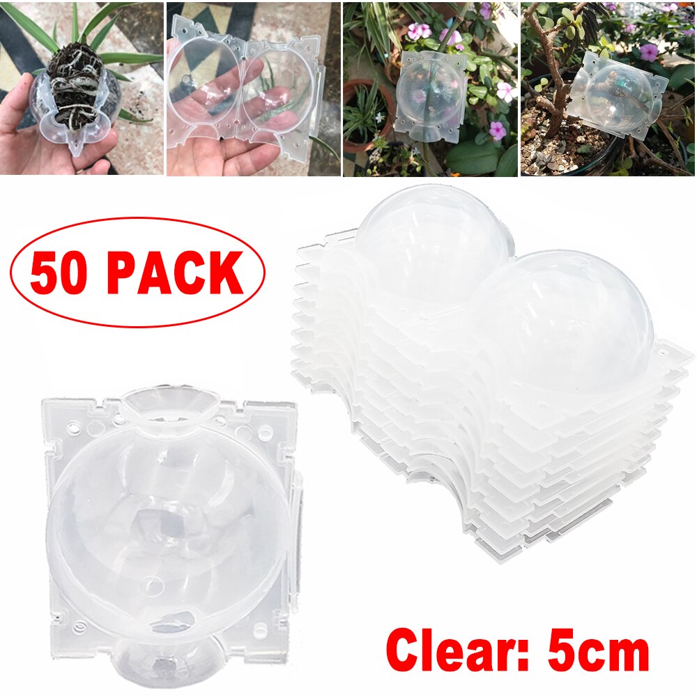 50 Stuks Plant Wortel Ballen Clear Enten Wroeten G... – Grandado
