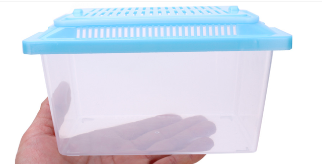 Large Portable Small Pet Breeding House Spider Tor... – Grandado