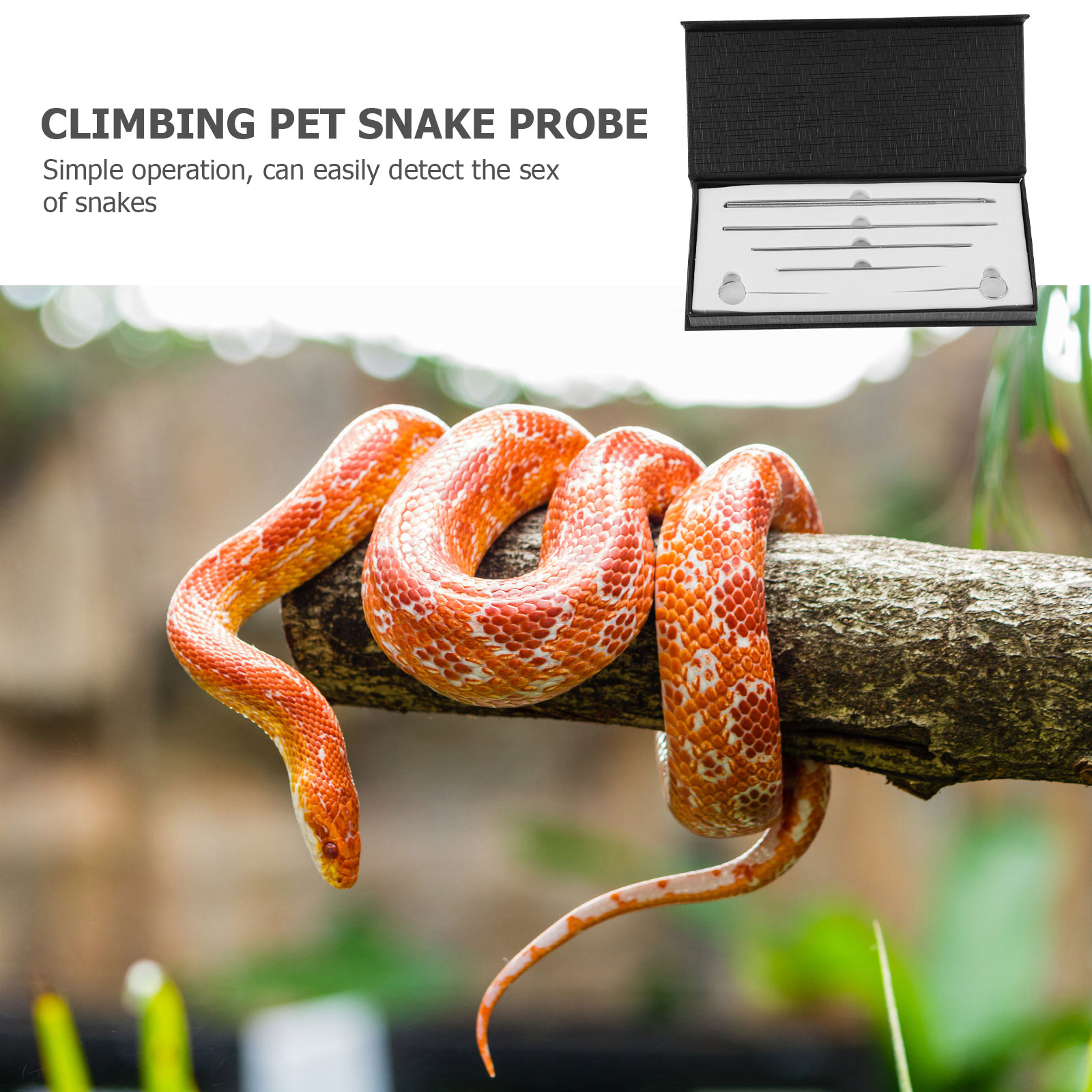 6Pcs Snake Sexing Probe Reptiles Snake Sexing Kit ... – Grandado