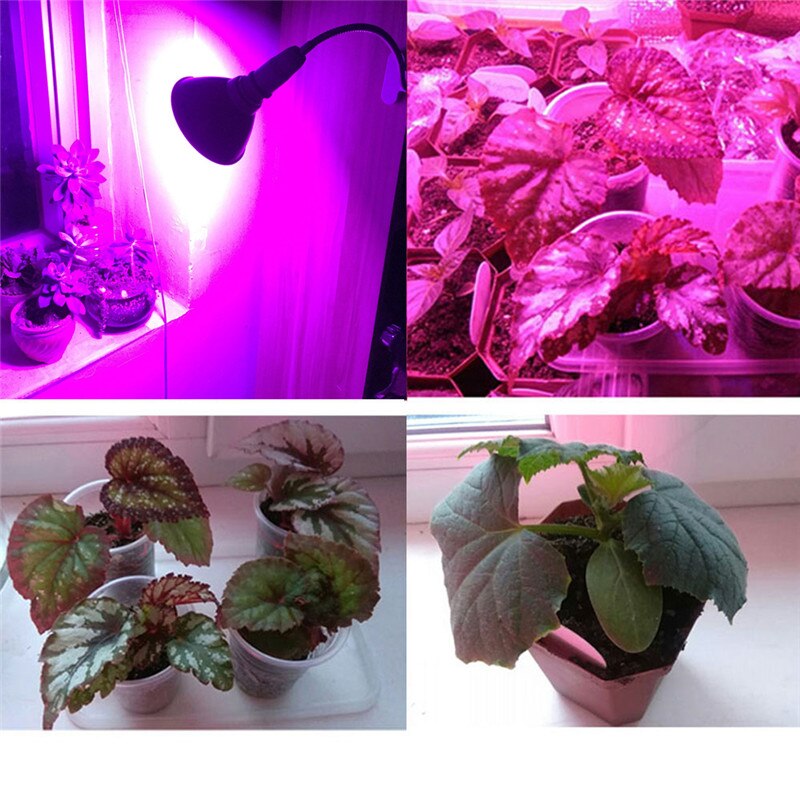 Aankomen 290 Led Plant Grow Lamp Volledige Spectru... – Vicedeal
