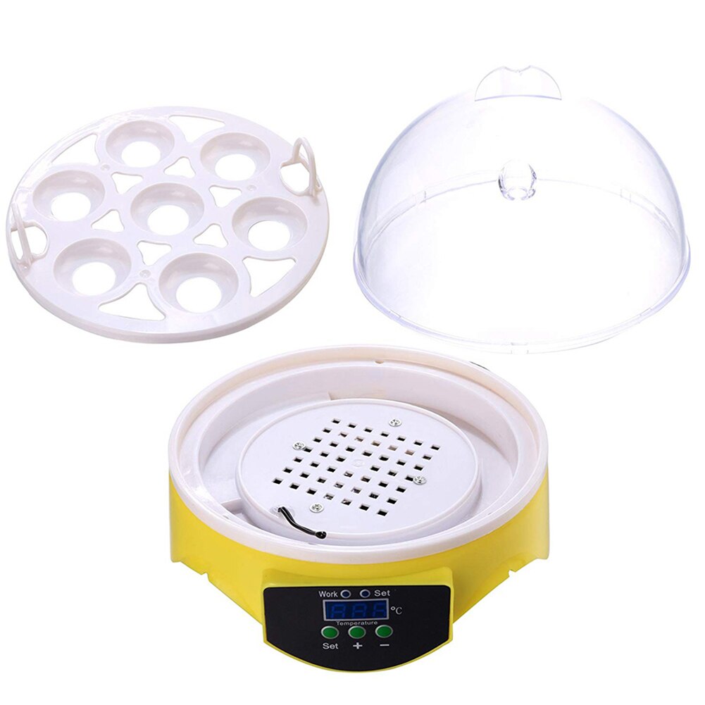 7 Eggs Chicken Bird Eggs Incubator Parrot Brooder ... – Grandado