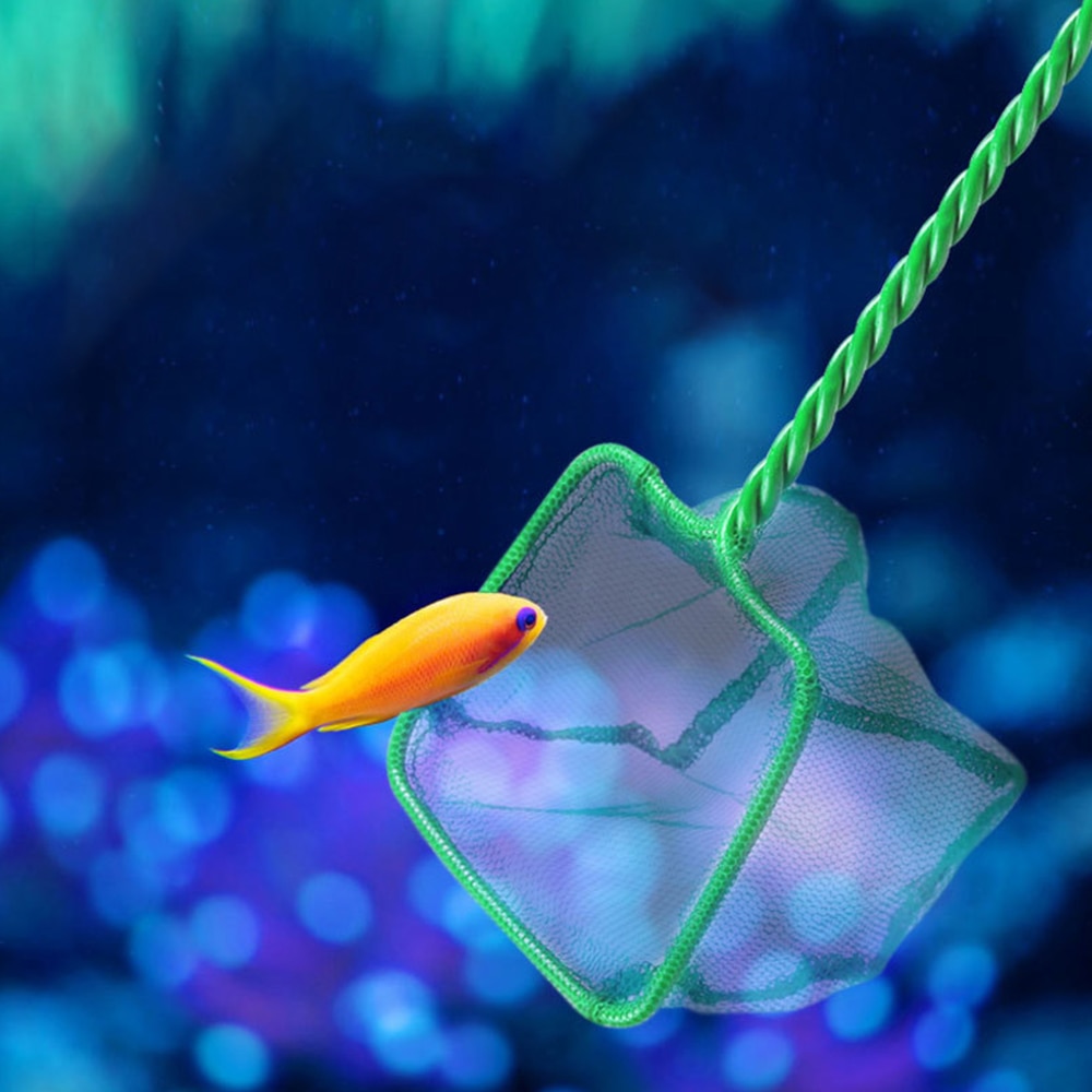 Portable Fish Net Long Handle Square Aquarium Acce... – Grandado