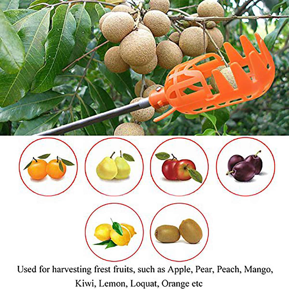 Greenhouse Plastic Fruit Picker Catcher Fruit Pick... – Vicedeal