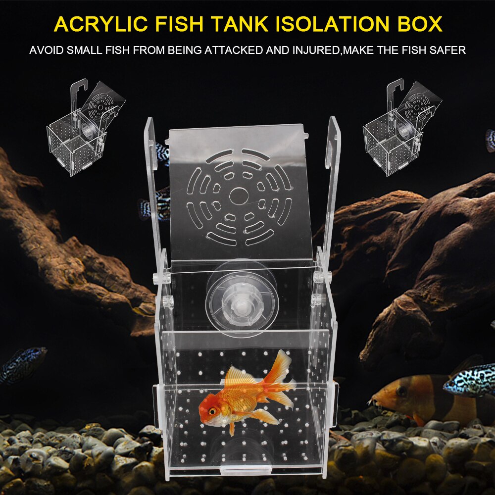 Production Box Small Fish Isolation Net Fish Tank ... – Grandado