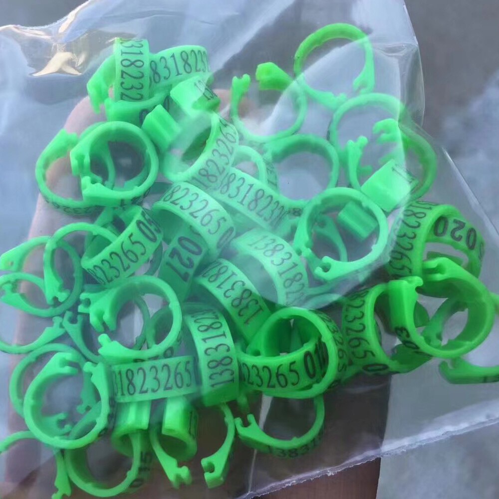 8mm Bird Dove Pigeon Plastic Leg Rings Custom Plas... – Grandado