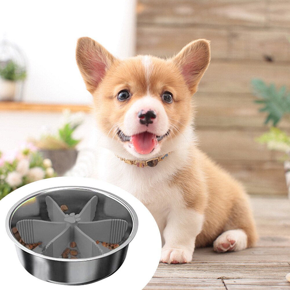 Slow Feeder Dog Bowls Insert Spiral with Suction C... – Grandado