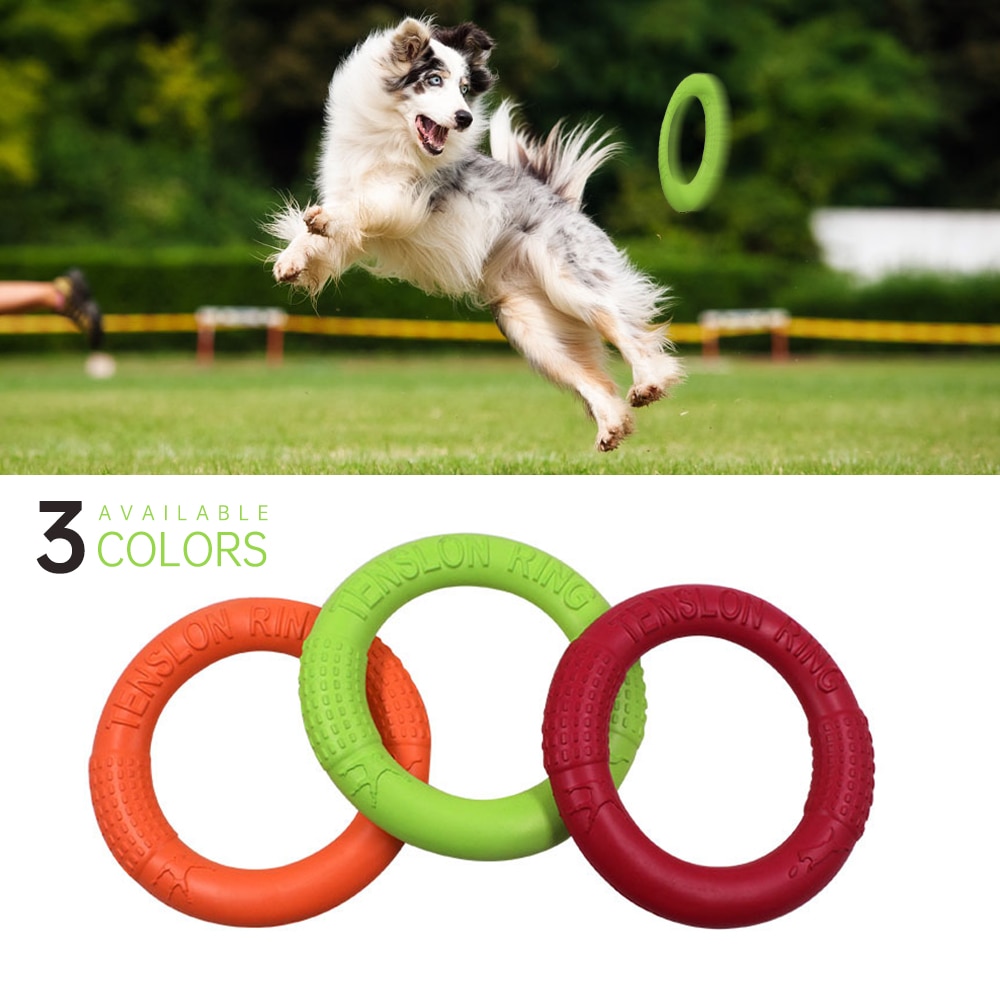 Huisdier Vliegende Schijven Hond Training Ring Pul... – Grandado
