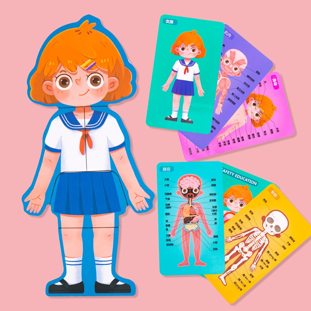 Wooden Puzzles Body Structure Cognitive Puzzle Edu... – Grandado