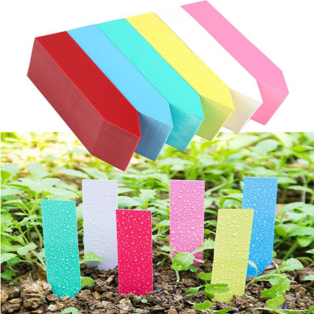 100Pcs Plant Labels Garden Sign Waterproof Nursery... – Vicedeal