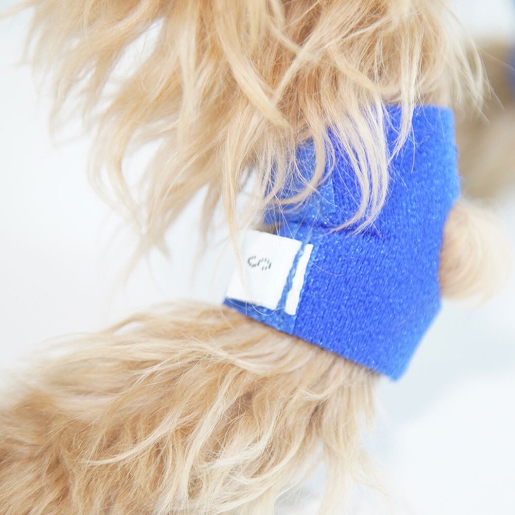 1Pair Indoor Dog Polyester Foots Cover Knee Protec... – Grandado