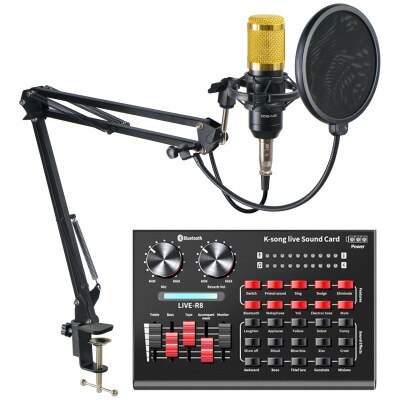 bm 800 Microphone studio R8 Sound Card Kits bm800 ... – Grandado