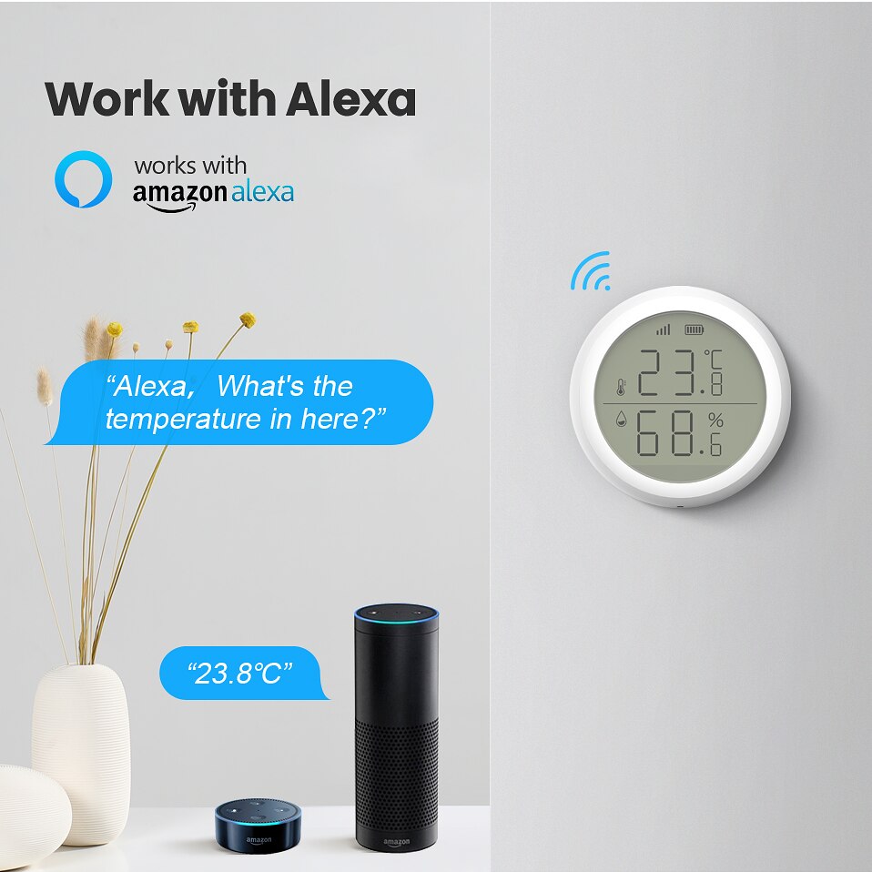 Travailler avec TuYa Smart Life/Alexa Google Home ... – Grandado
