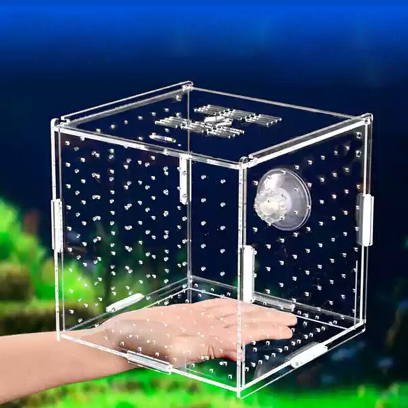 Aquarium Isolation Box Fish Tank Small Fry Breedin... – Vicedeal