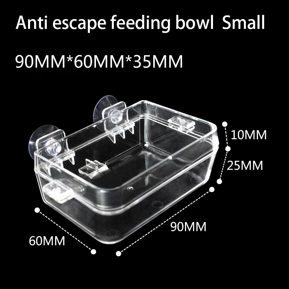 Reptile Feeder Anti-escape Food Bowl Turtle Lizard... – Grandado