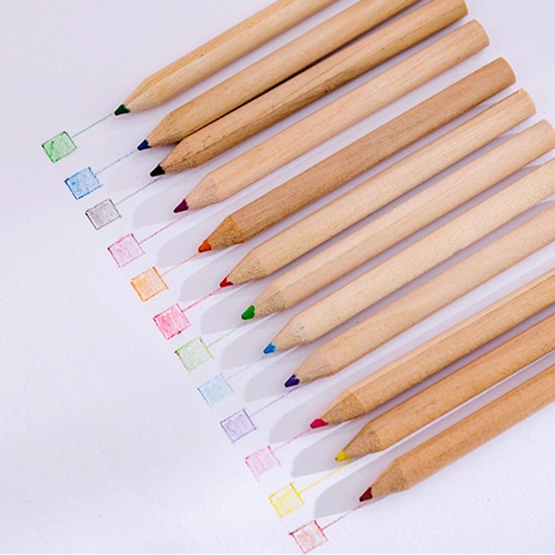 12 Colors Colored Pencils with Storage Bin & B... – Grandado