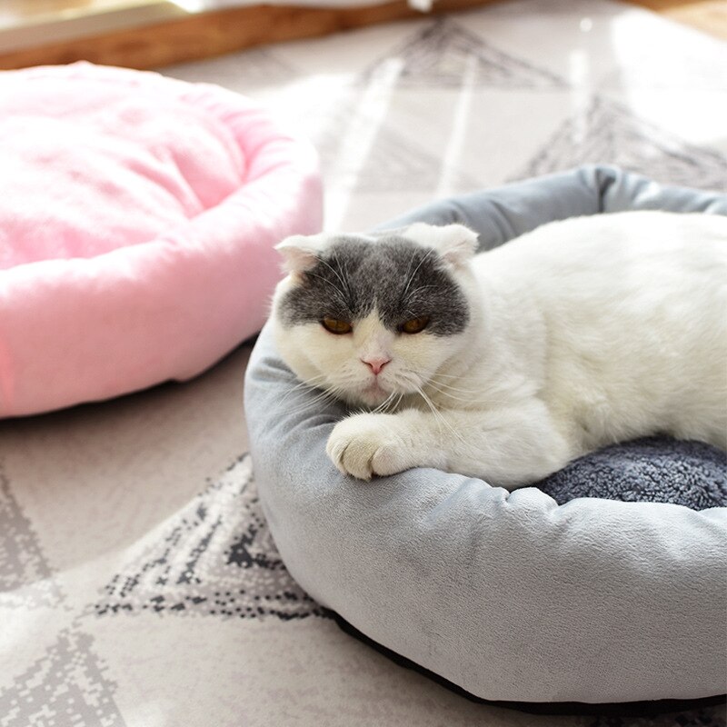 Winter Kat Huis Hond Huis Met Pluizige Kat Mat Sla... – Vicedeal