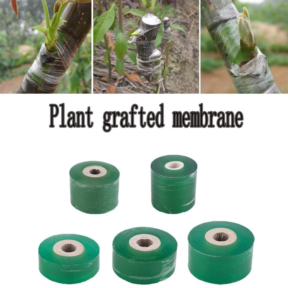 Roll Tape Parafilm Pruning Strecth Graft Budding B... – Grandado