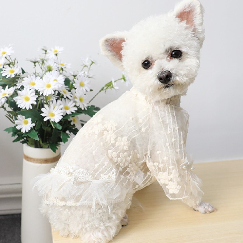 Vestido de encaje para perro, traje de verano para... – Grandado