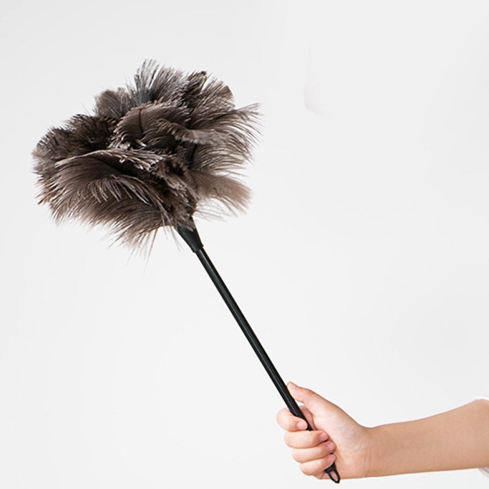 Cleaning Tool Soft Office Window Feather Duster Ho... – Grandado