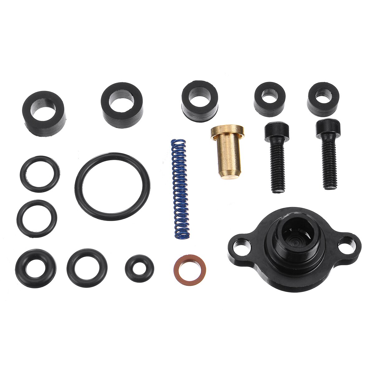 Fuel Pressure Regulator Blue Spring Upgrade Kit Fo... – Vicedeal
