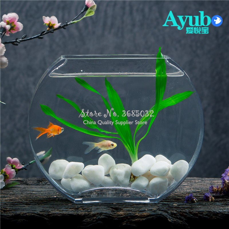 25cm Simple Round Peach Blossom Transparent Glass ... – Grandado