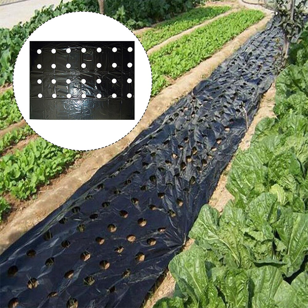 10m 5Holes Black Plastic Mulch Film Agricultural V... – Vicedeal
