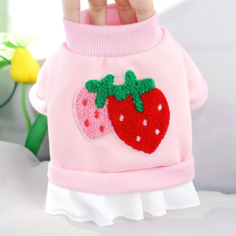 Pink Strawberry Puppy Dress Teddy Bichon Warm Wint... – Vicedeal