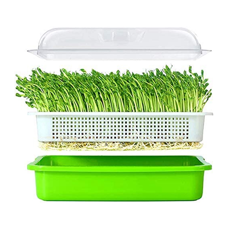3-Pack Seed Sprouter Tray Soil-Free Big Capacity H... – Grandado