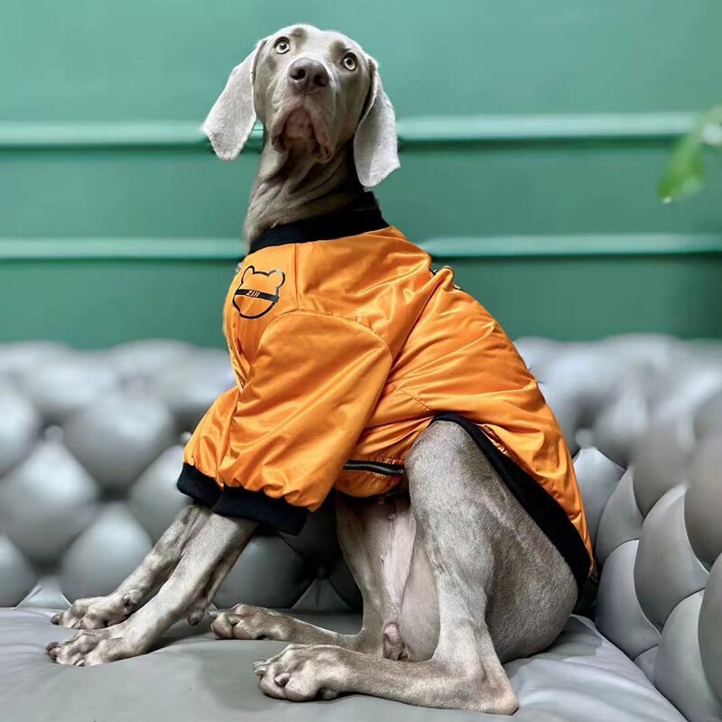 Large Dog Clothes Thicken Warm Winter Dog Coats La... – Grandado