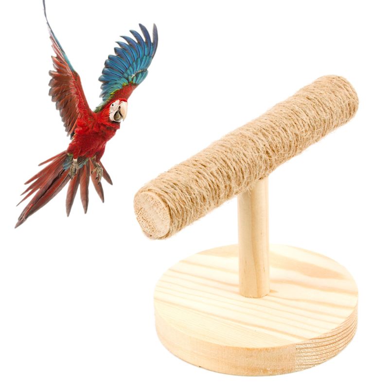 Parrot Wooden Tabletop Perch Bird Stand Training E... – Grandado