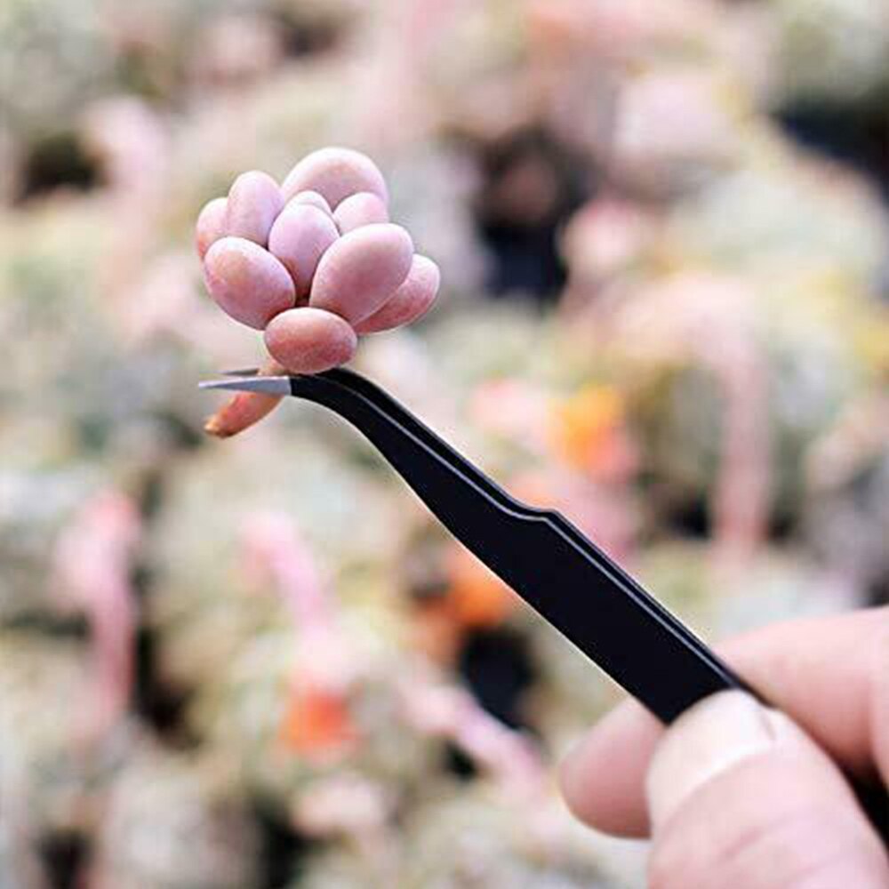 Succulent Plant Tools Mini Garden Hand Tool Set Tr... – Vicedeal