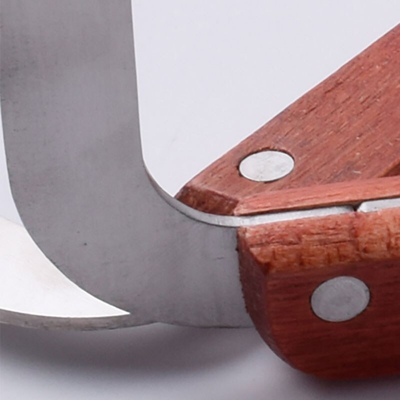 International Wood Handle Serrator 7-Inch Stainles... – Grandado