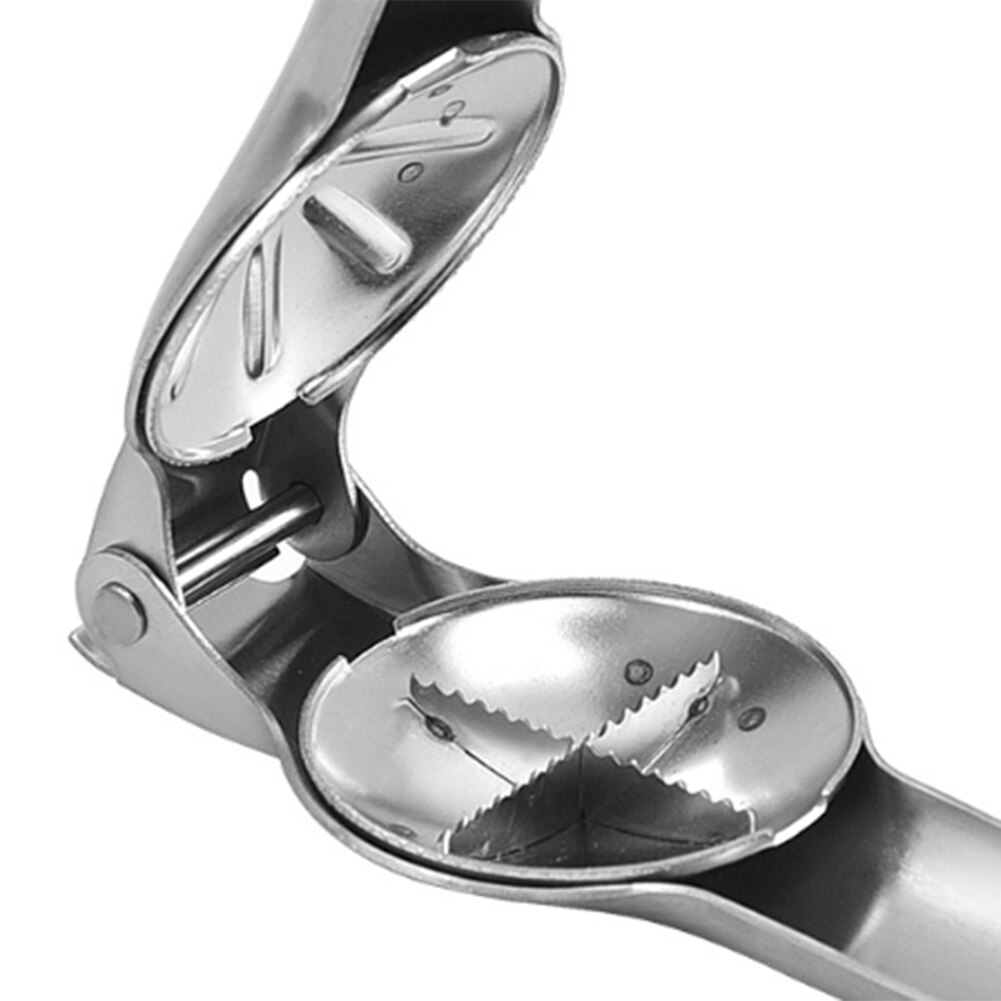 Quick Chestnut Clip Walnut Pliers Metal Nutcracker... – Grandado