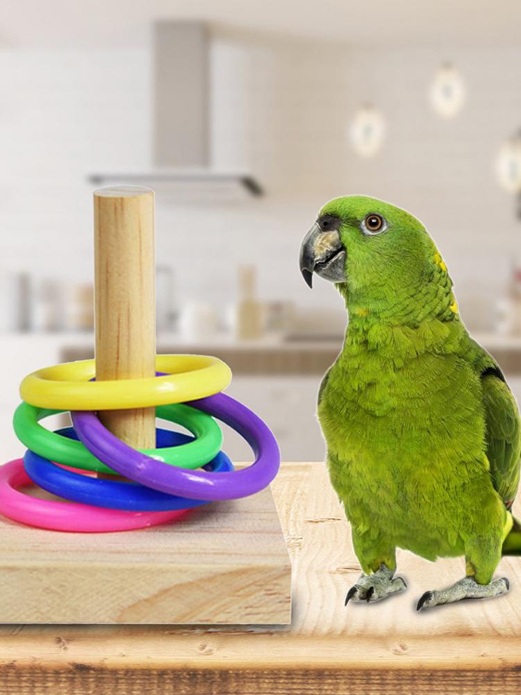 Bird Toys Bird Trick Tabletop Toys Learning And In... – Grandado