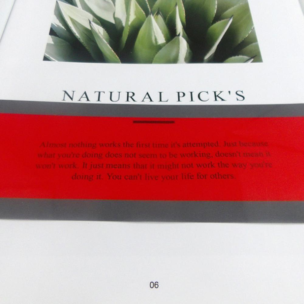 8 Pieces Reading Guide Strips Highlighter Colored ... – Grandado