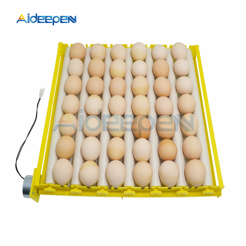 1 Set 360° Automatic Rotary Egg Turner Roller Tray... – Grandado