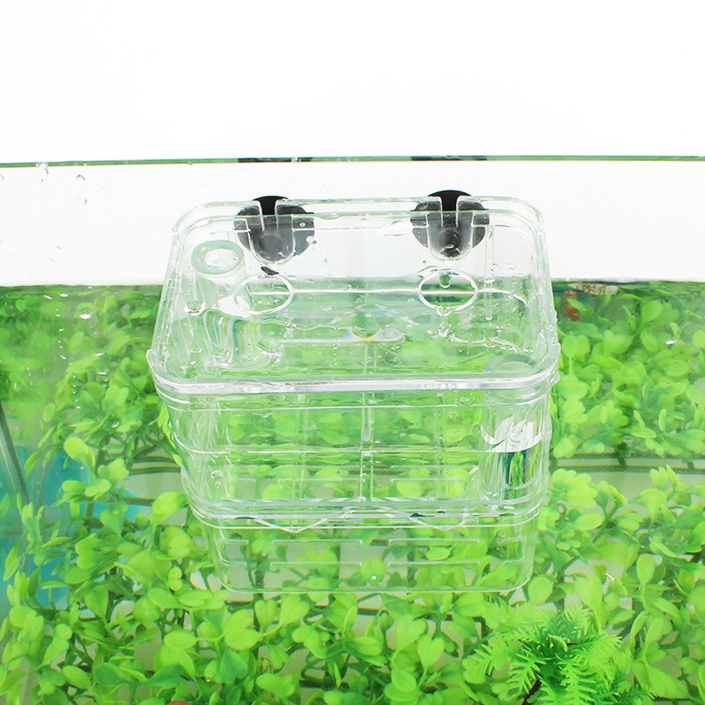 Aquarium Fish Breeder Box High Clear Double Hatchi... – Grandado