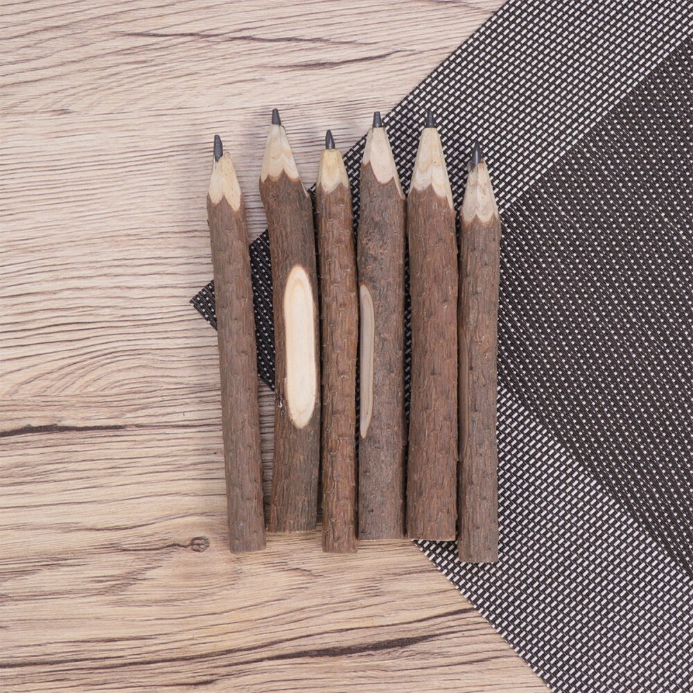 6PCS Assorted Tree Branch Art Drawing Pencil for K... – Vicedeal