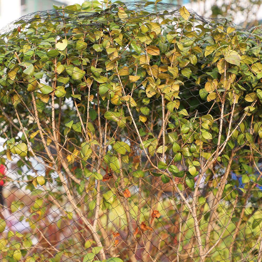 Pond Protectors Floating Garden Pond Plastic Net G... – Grandado