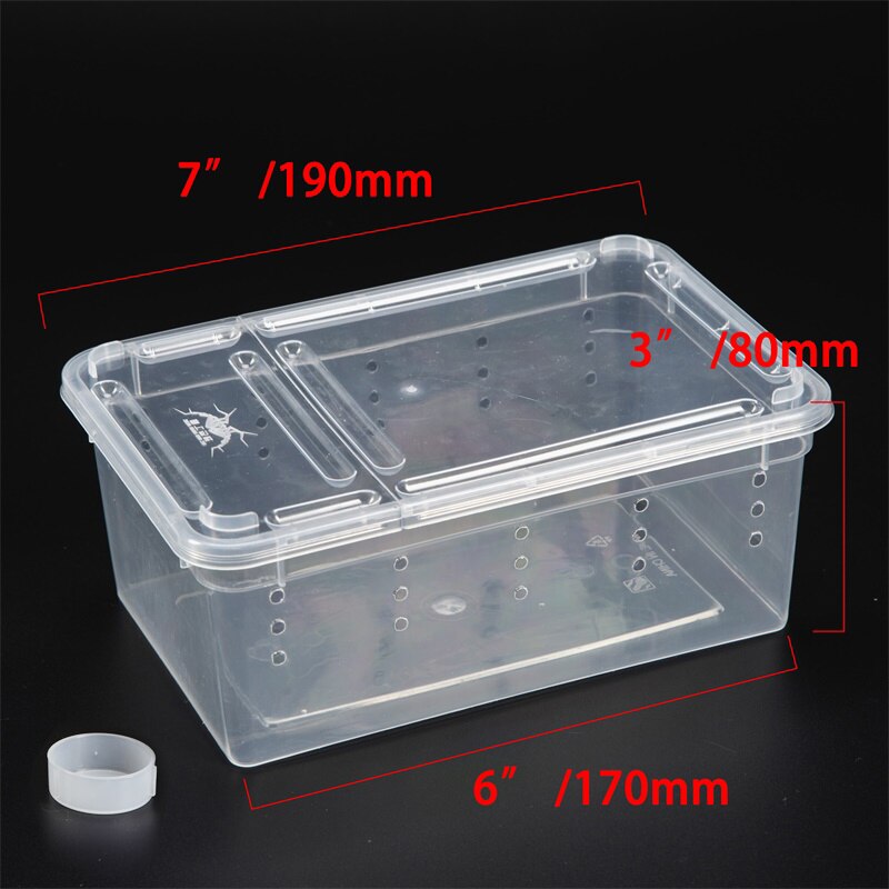 1Pc Transparante Plastic Doos Insect Reptiel Vervo... – Vicedeal