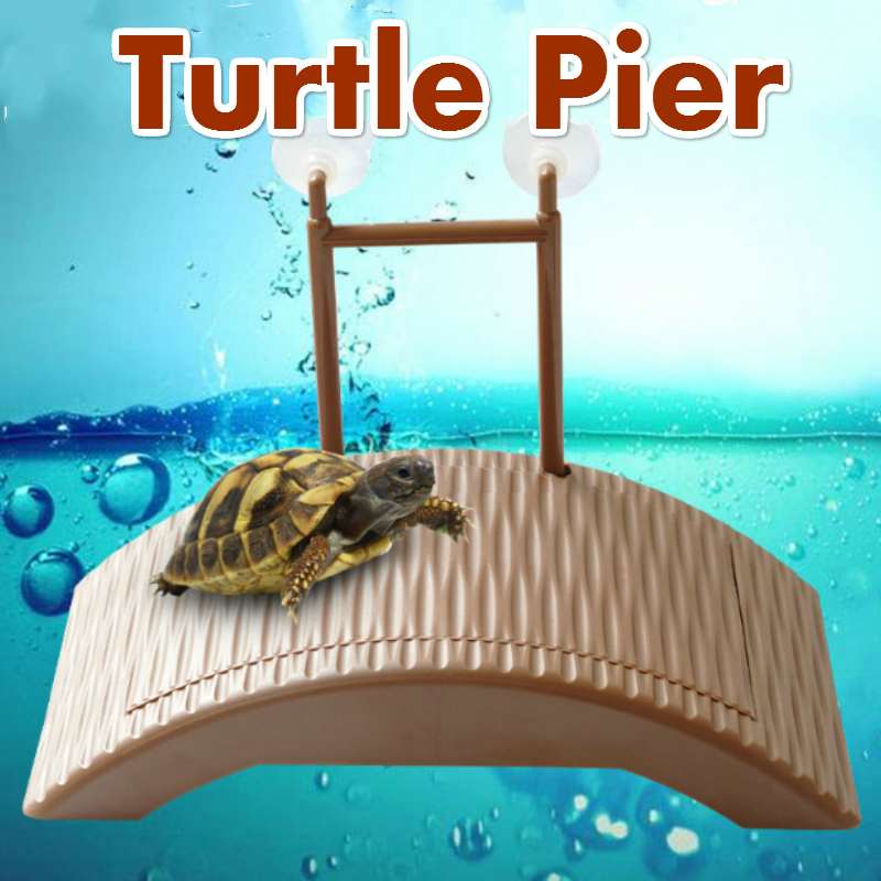 Auto Drijvende Platform Aquarium Schildpad Reptiel... – Grandado