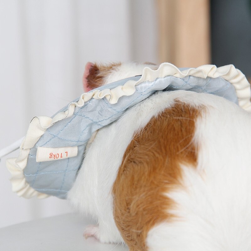 Hamster Protection Cone Neck Recovery Collar Anti-... – Vicedeal