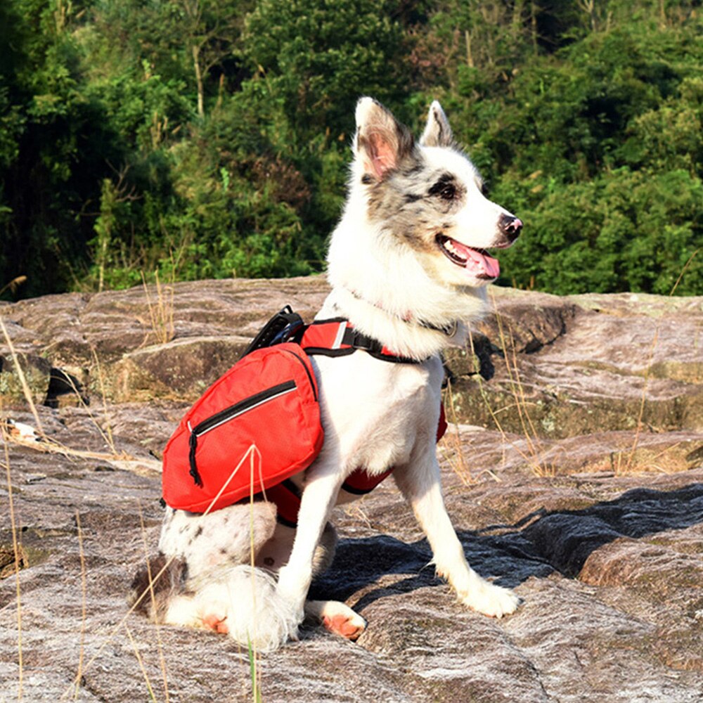 Pet Outdoor Backpack Large Dog Reflective Adjustab... – Vicedeal