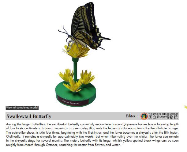 Papilio insect paper model 3D handmade DIY kinderg... – Grandado
