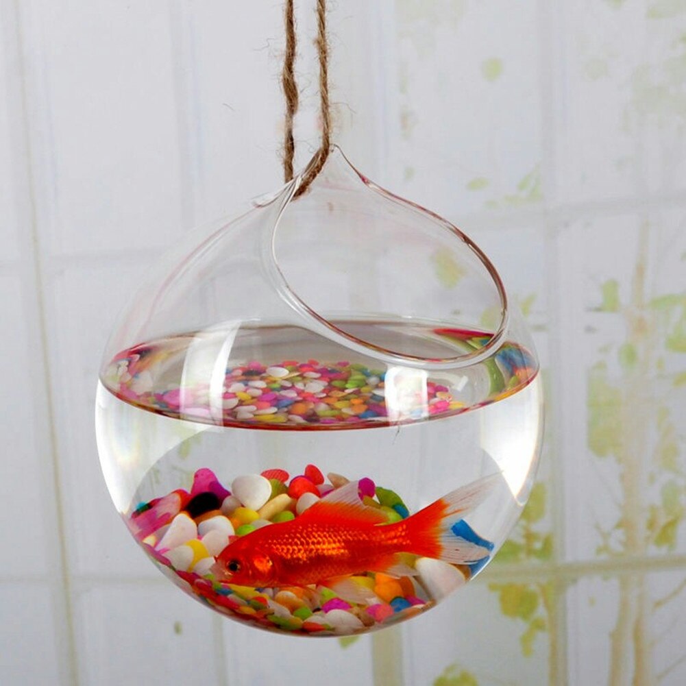 1pcs Clear Glass Ball Globe Shape Terrarium Ball F... – Grandado