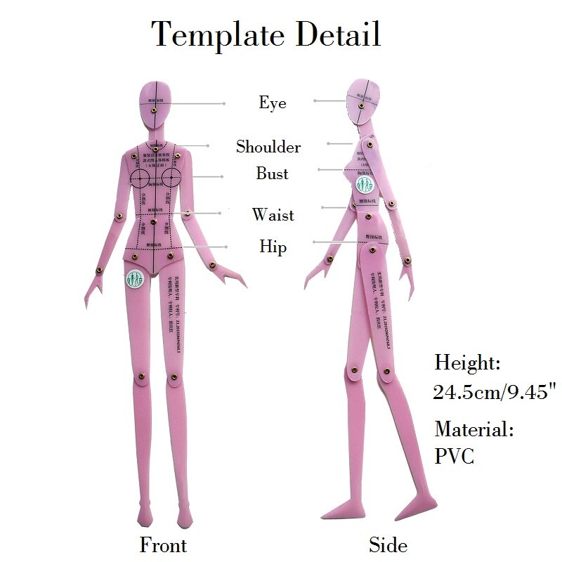 Drawing Ruler Garment of Human Body Dynamic Hand D... – Vicedeal