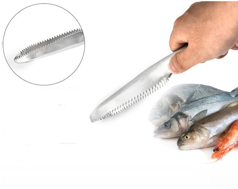 Fish Skin Brush Fast Remove Fish Scale Scraper Pla... – Grandado